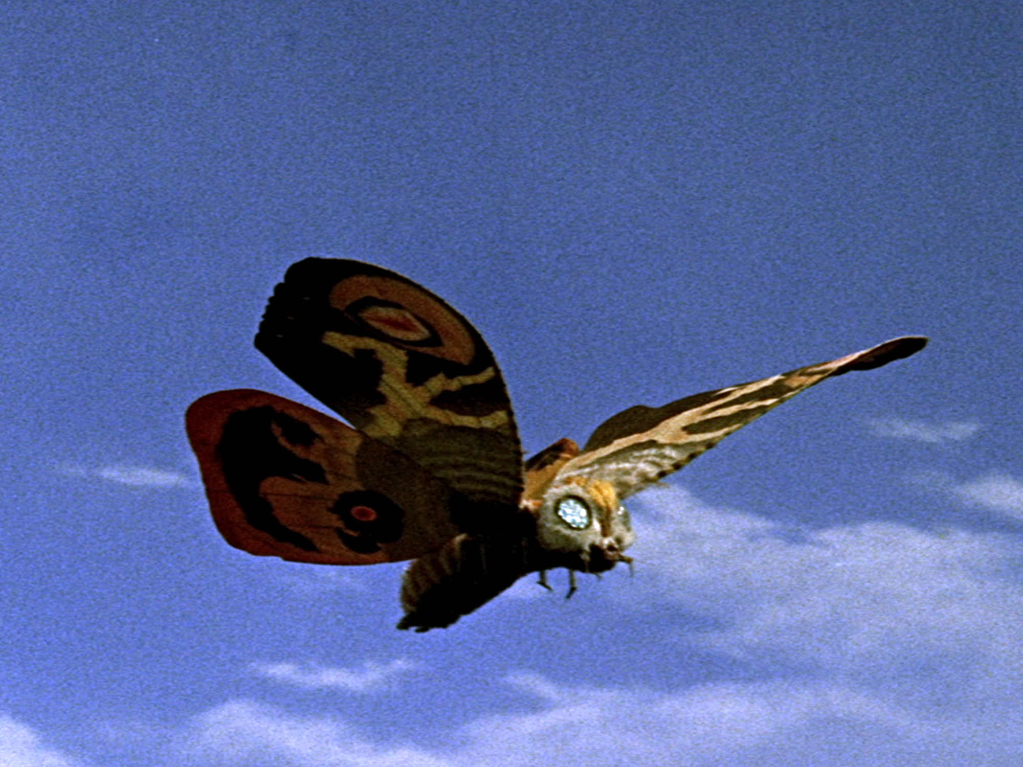 Mothra (1961) | Godzilla Vs…!